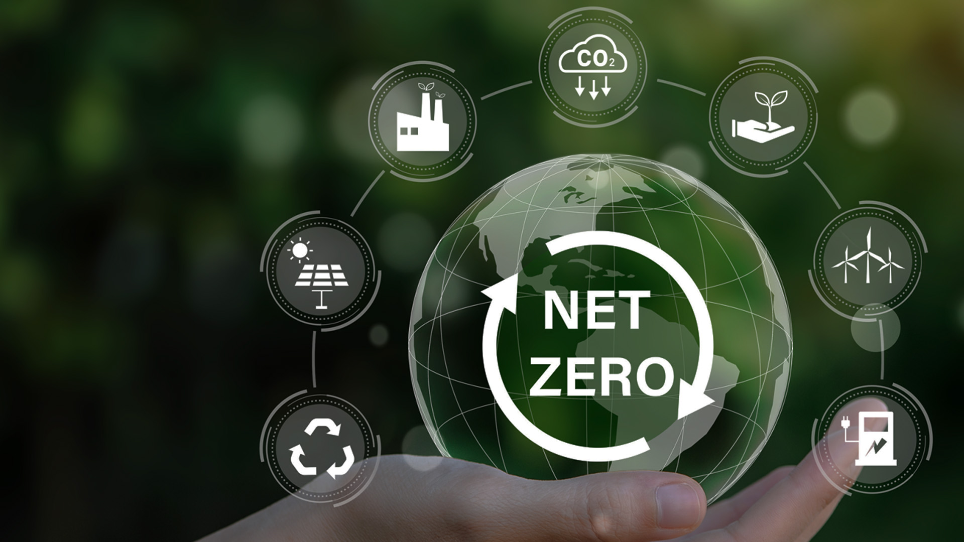 Net Zero: navigating what it means for your business